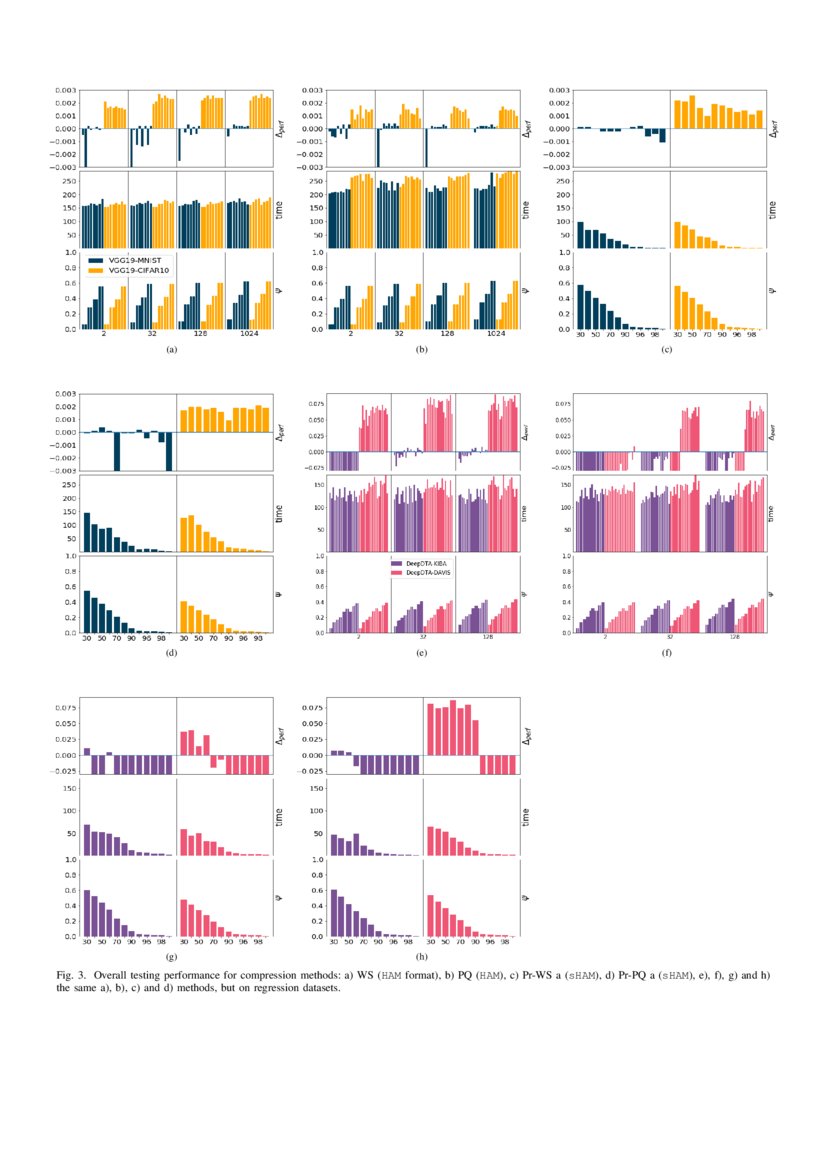 Compression strategies and space-conscious representations for deep ...