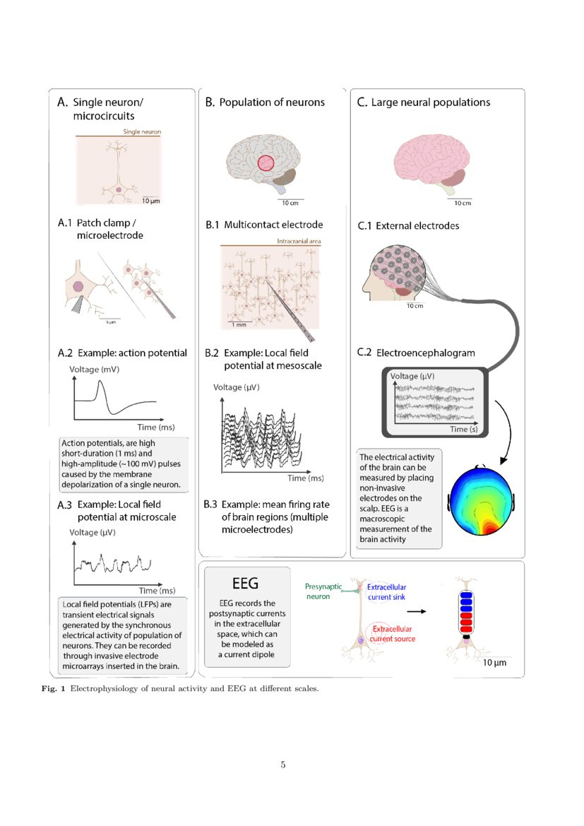 Computational models in Electroencephalography | DeepAI