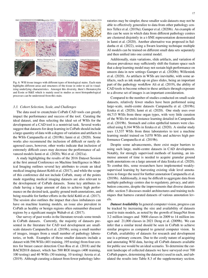 Computational Pathology: A Survey Review and The Way Forward | DeepAI