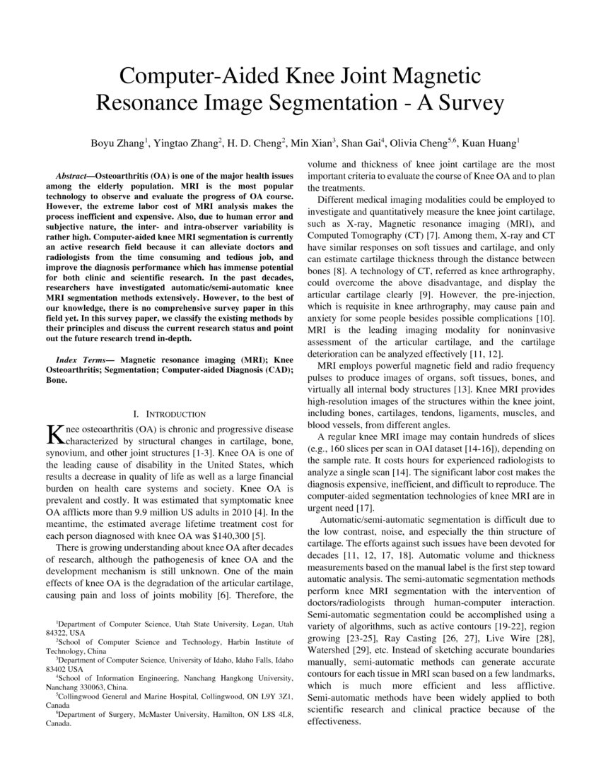 Computer-Aided Knee Joint Magnetic Resonance Image Segmentation - A ...