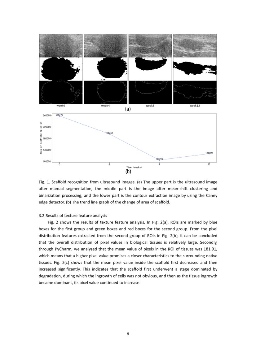 Computer-aided Recognition and Assessment of a Porous Bioelastomer on Ultrasound Images for ...