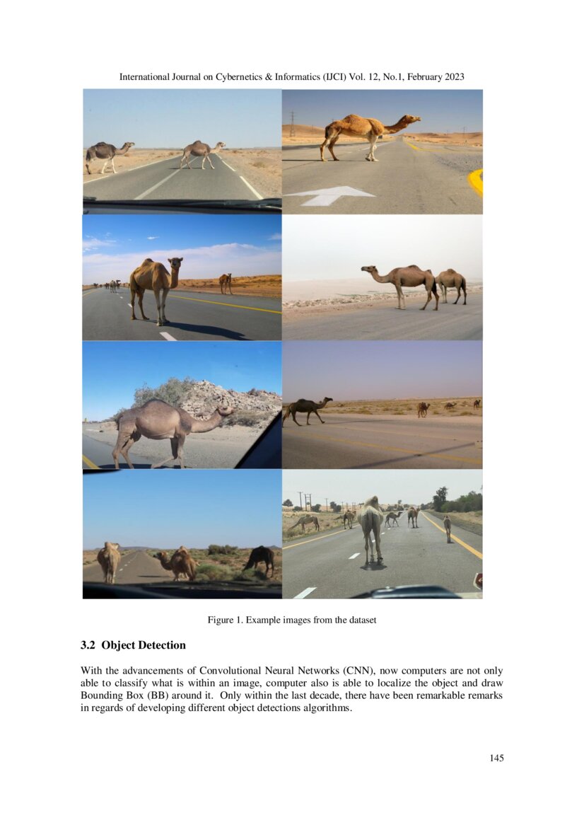 Computer Vision for a Camel-Vehicle Collision Mitigation System | DeepAI