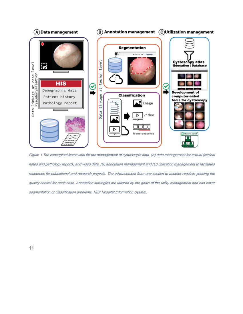 Conceptual Framework and Documentation Standards of Cystoscopic Media Content for Artificial ...