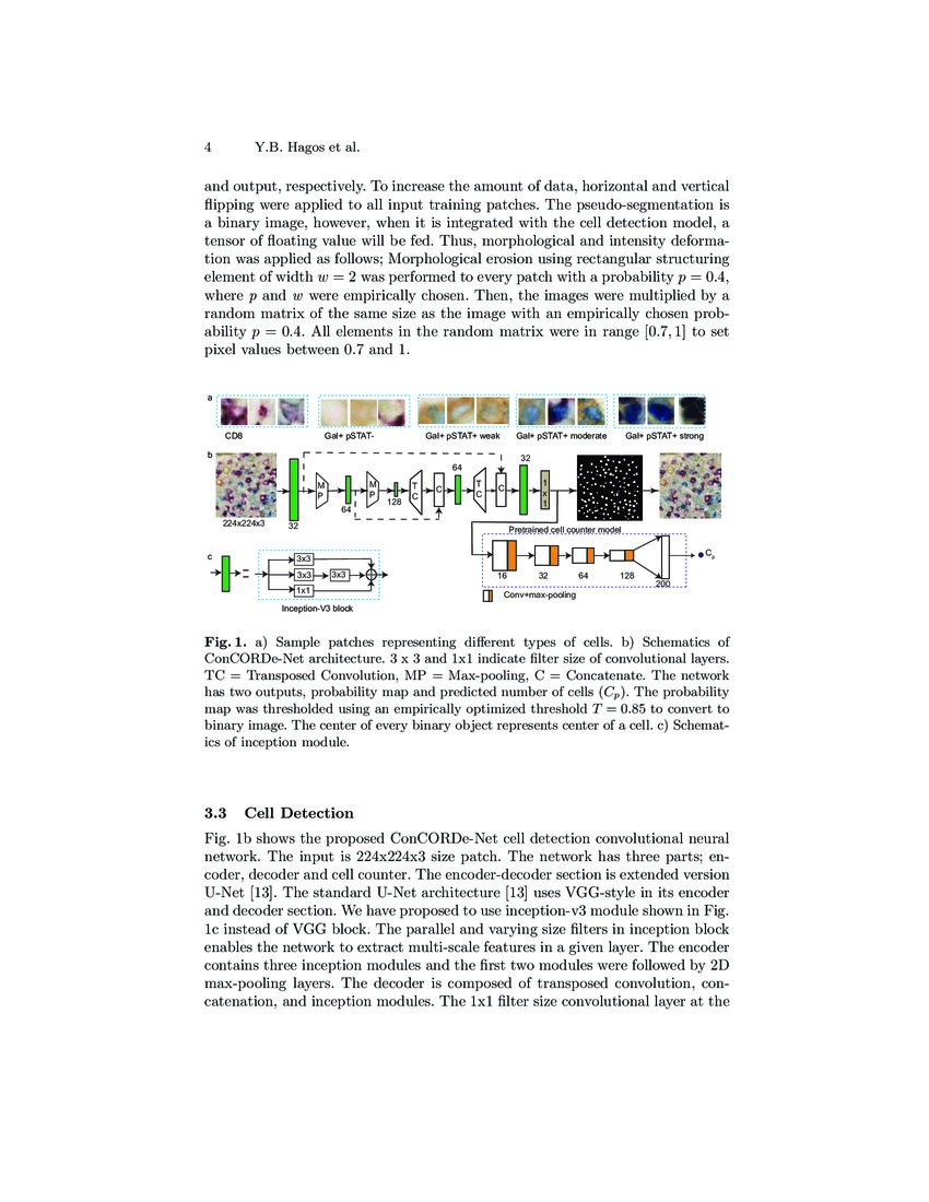 Concorde Net Cell Count Regularized Convolutional Neural Network For Cell Detection In