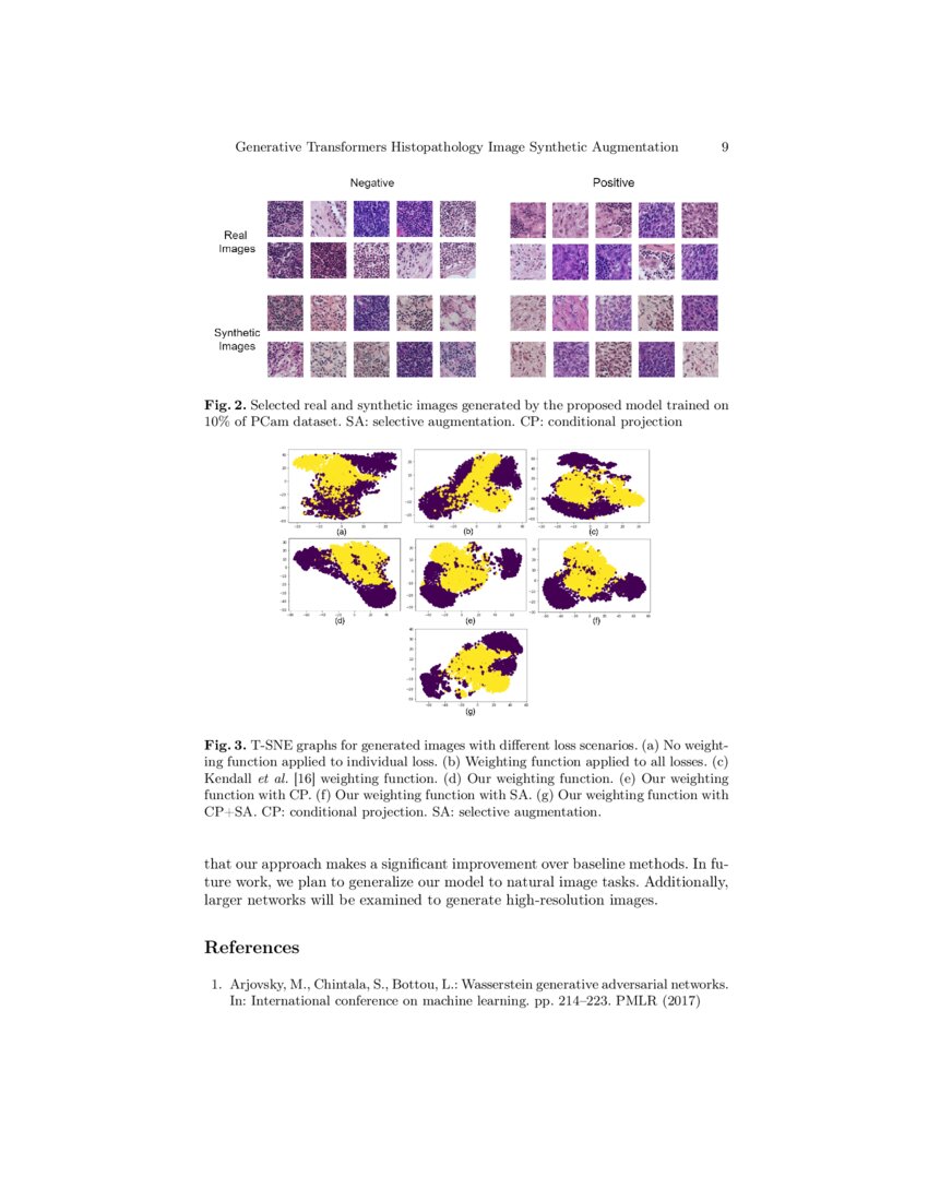 Conditioned Generative Transformers For Histopathology Image Synthetic Augmentation Deepai