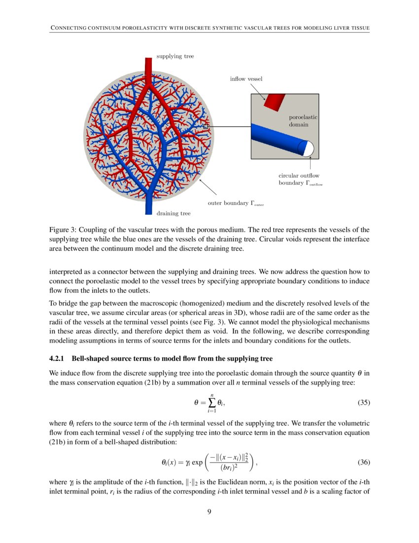 Connecting continuum poroelasticity with discrete synthetic vascular ...
