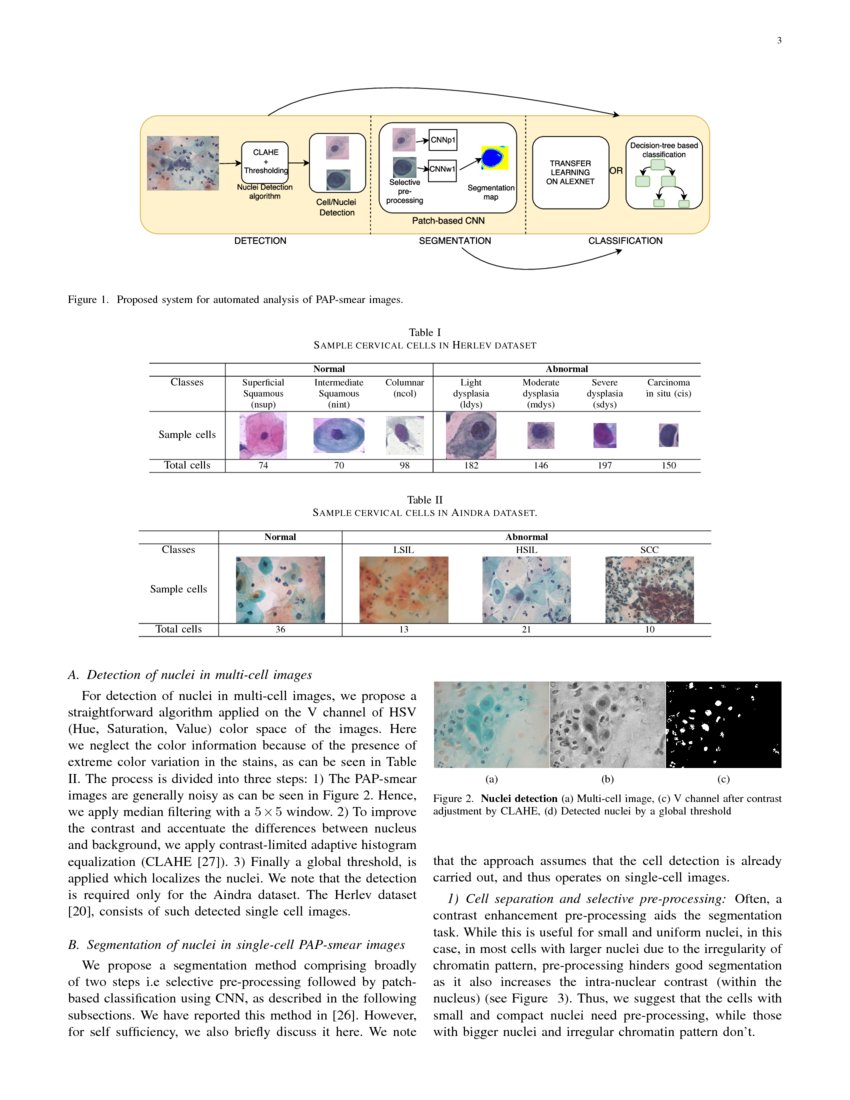 Considerations for a PAP Smear Image Analysis System with CNN Features ...
