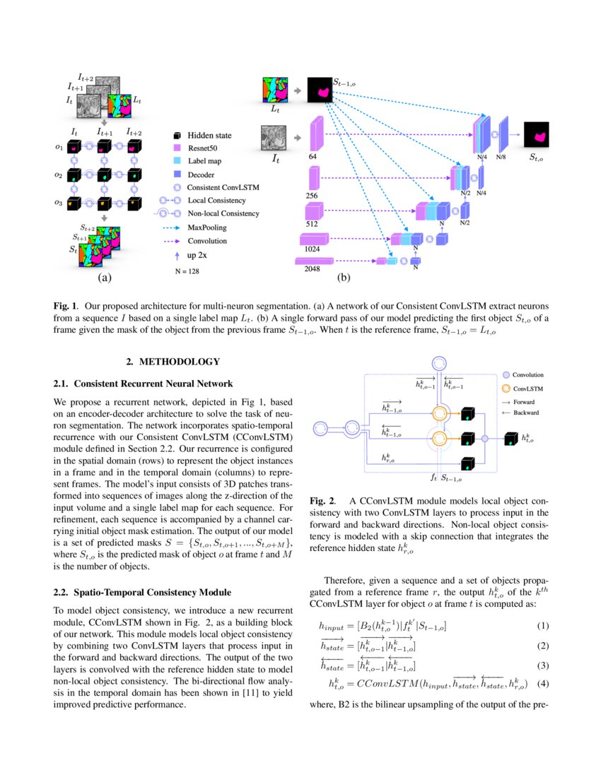 Consistent Recurrent Neural Networks For 3d Neuron Segmentation Deepai