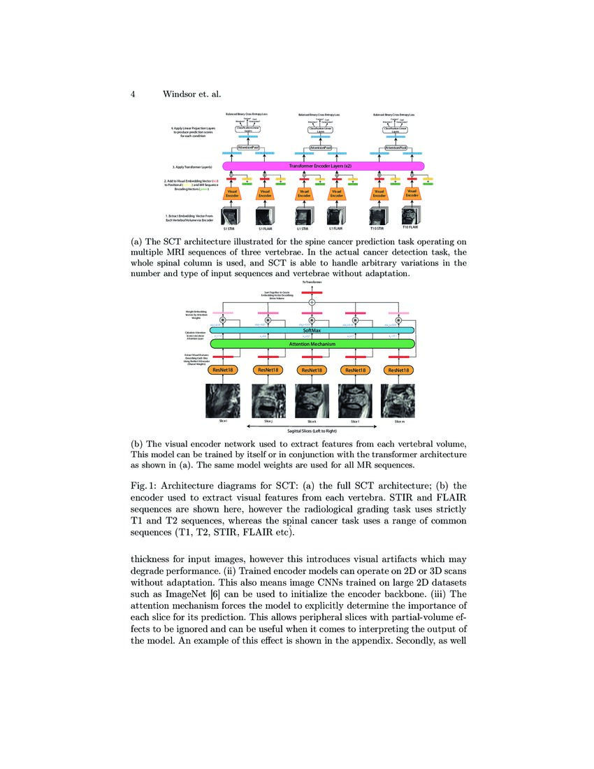 Context-Aware Transformers For Spinal Cancer Detection and Radiological Grading | DeepAI