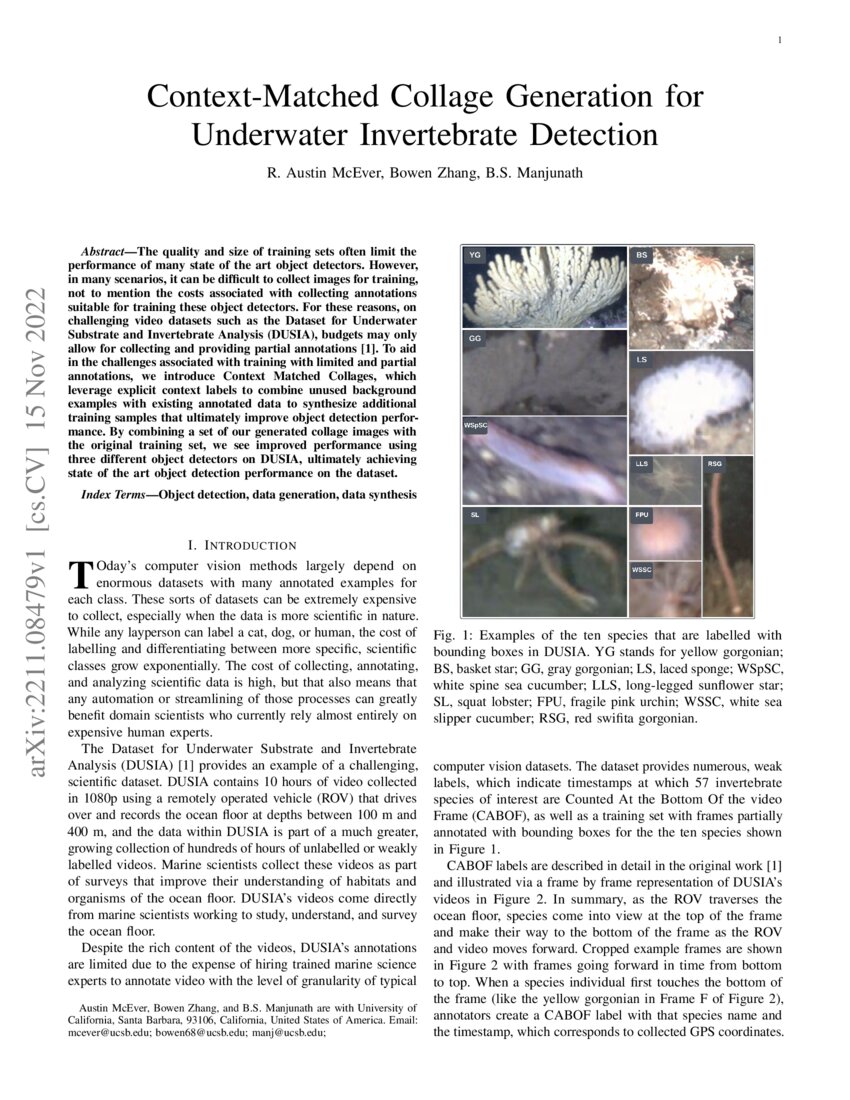 Context-Matched Collage Generation for Underwater Invertebrate Detection | DeepAI