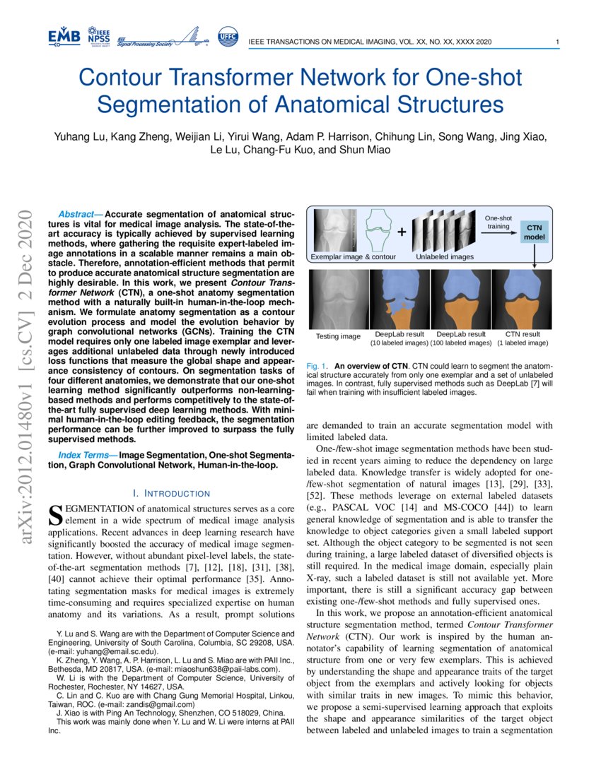 Contour Transformer Network for One-shot Segmentation of Anatomical ...