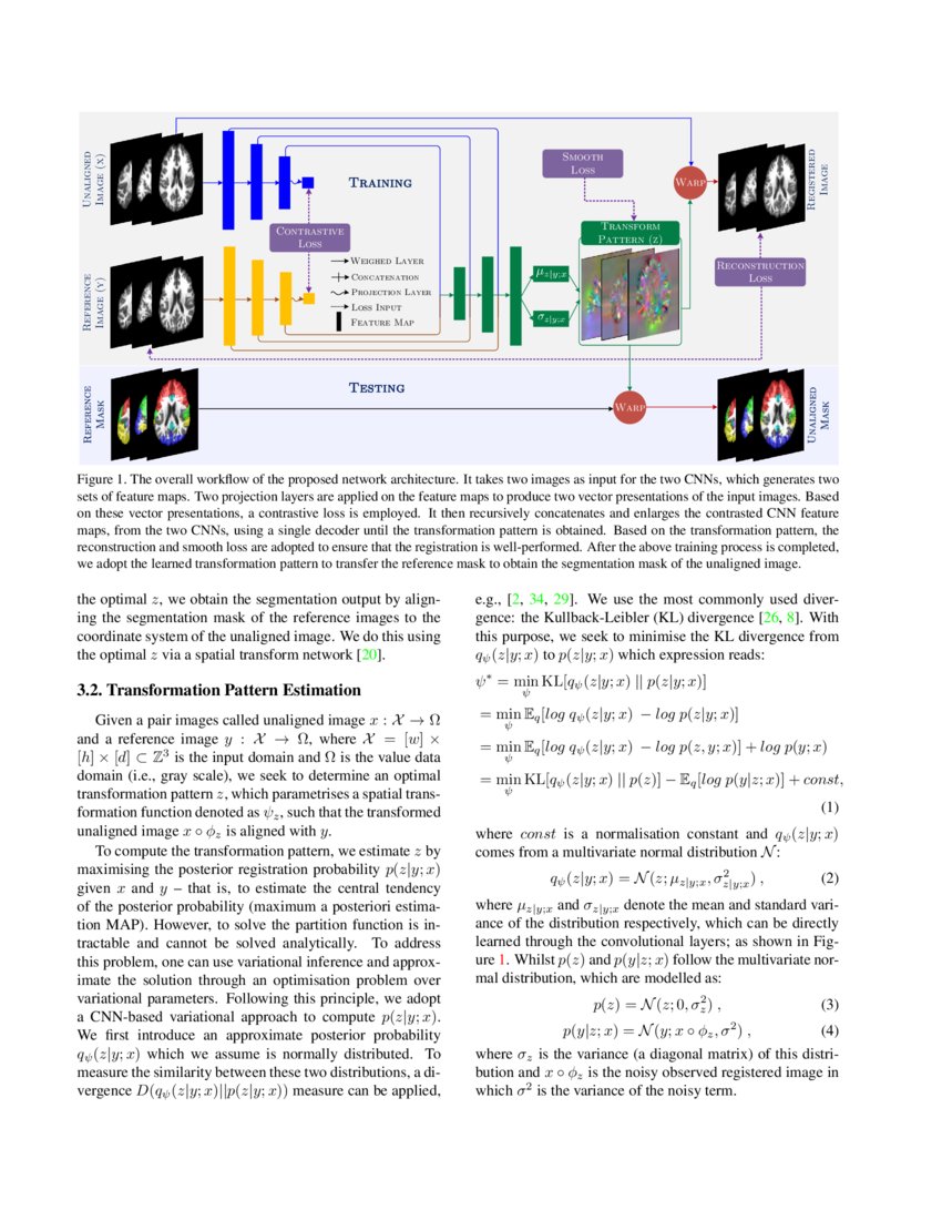 Contrastive Registration for Unsupervised Medical Image Segmentation | DeepAI