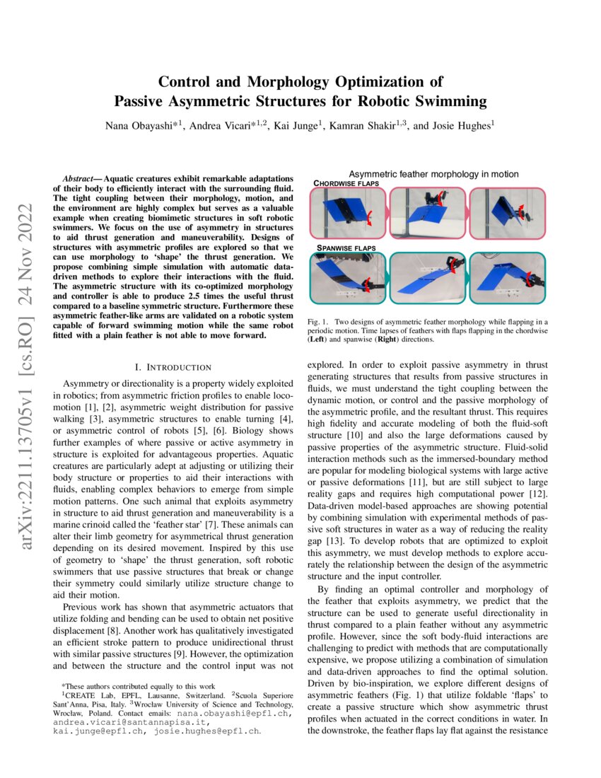 Control And Morphology Optimization Of Passive Asymmetric Structures
