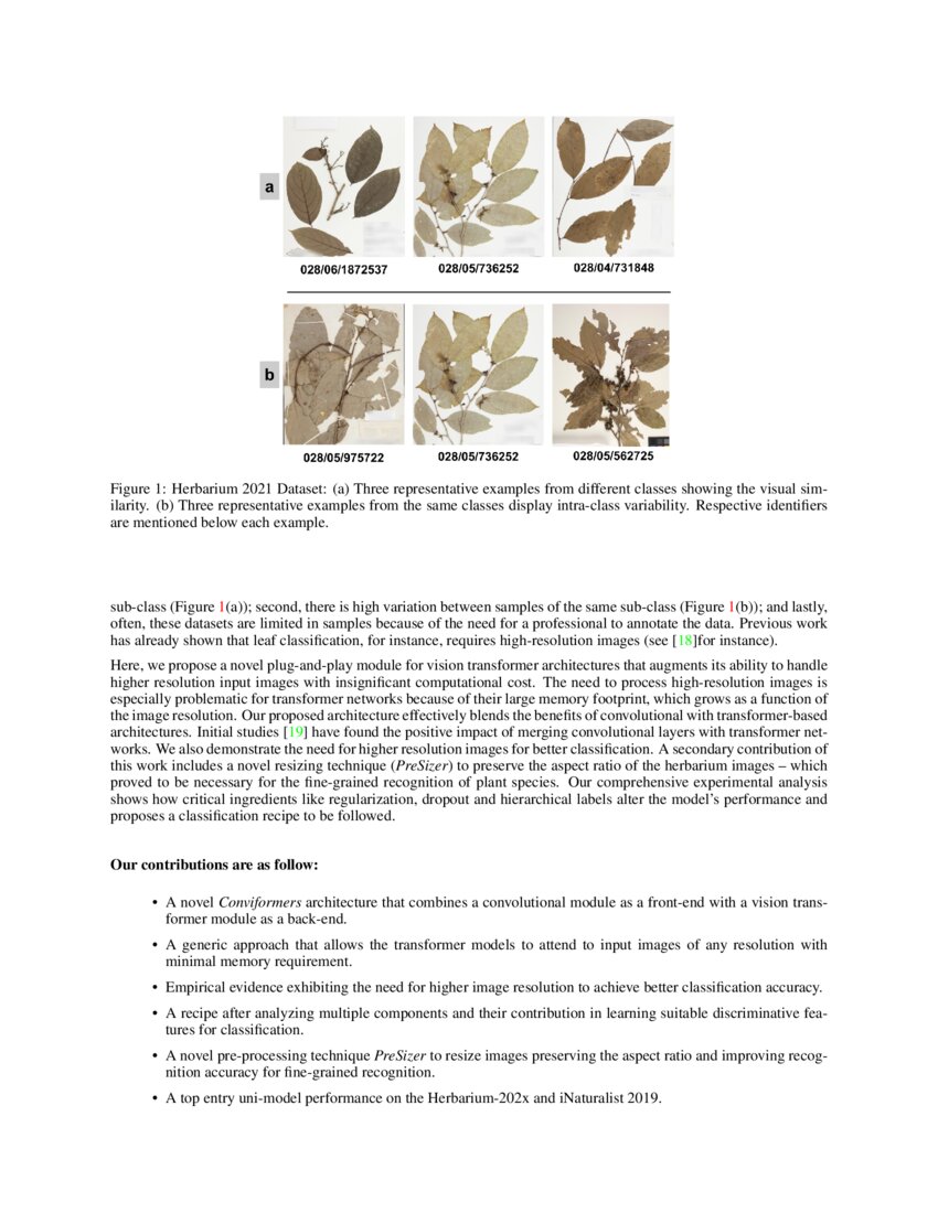 Conviformers Convolutionally Guided Vision Transformer Deepai