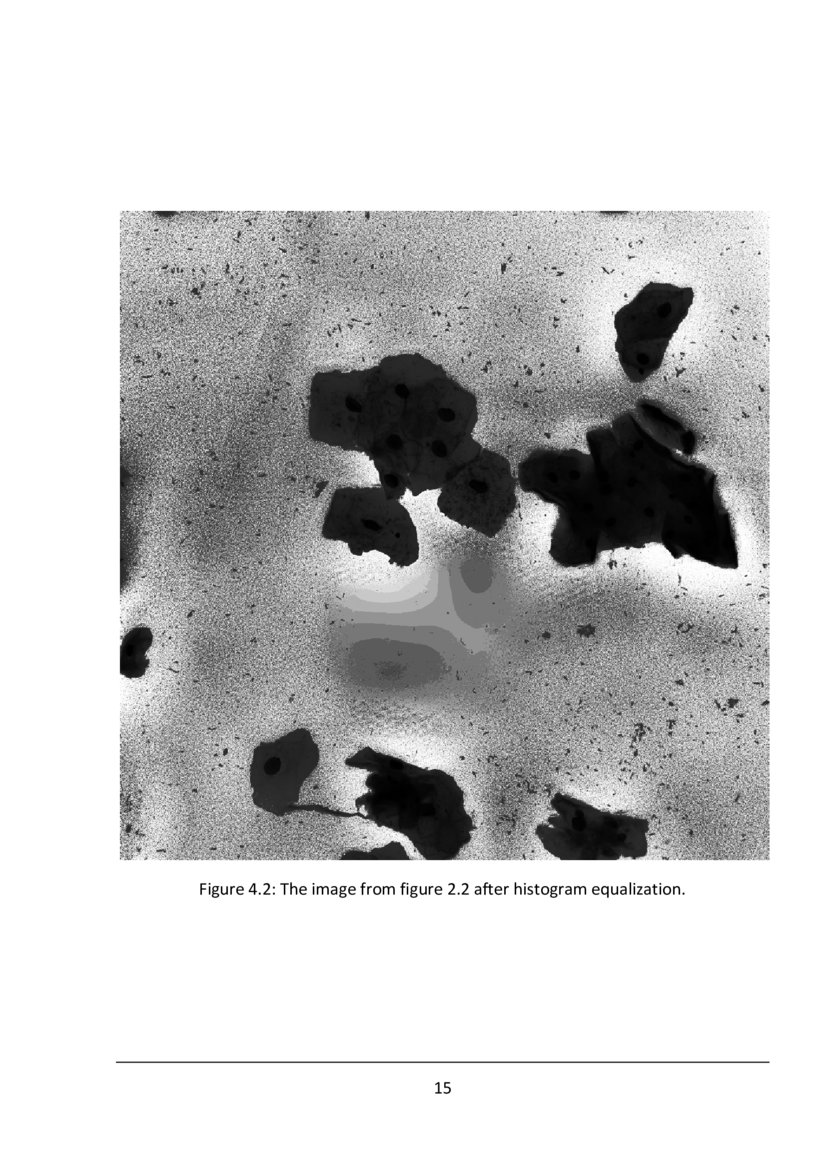 Convolution Neural Networks for Semantic Segmentation: Application to Small Datasets of ...