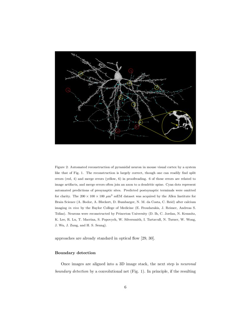 Convolutional nets for reconstructing neural circuits from brain images acquired by serial ...