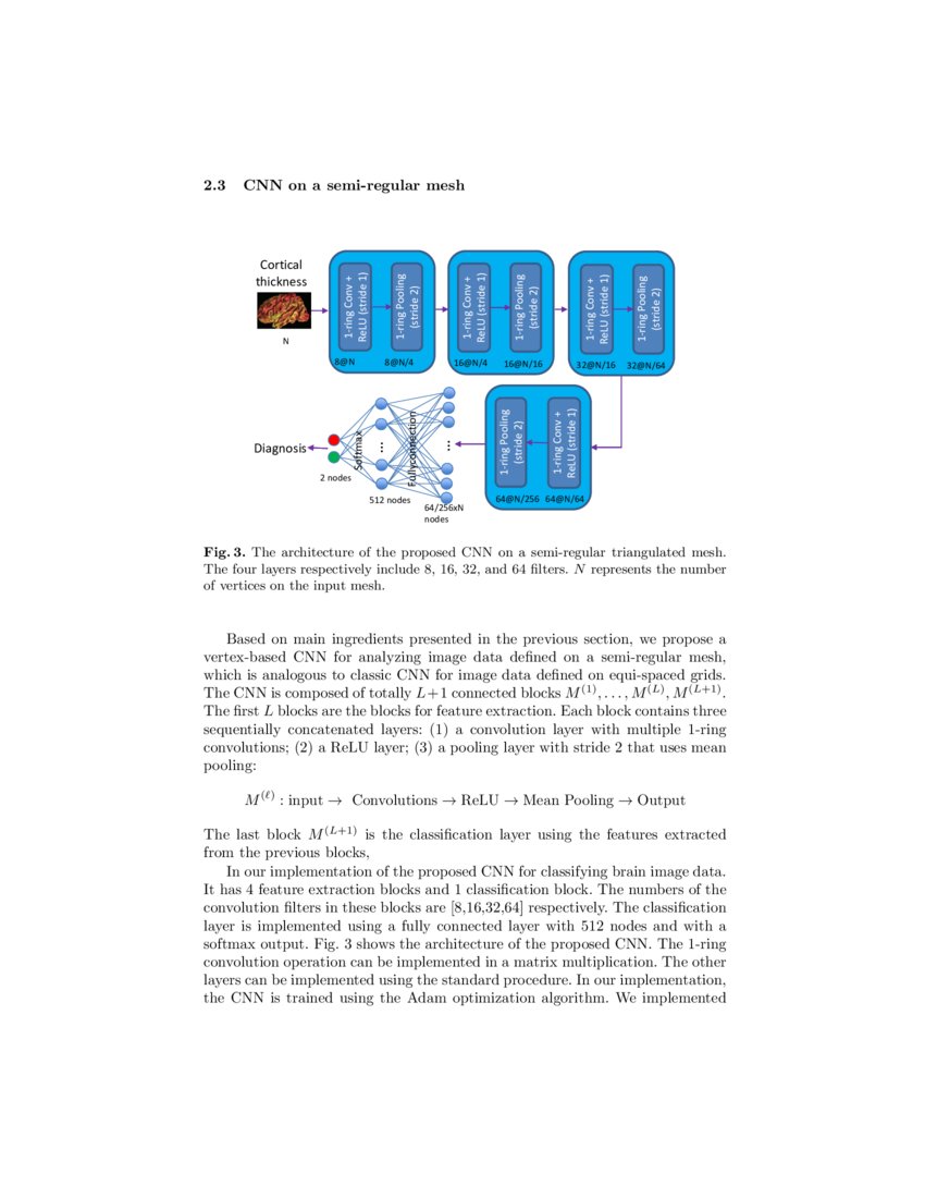 Convolutional Neural Network On Semi Regular Triangulated Meshes And Its Application To Brain 4118