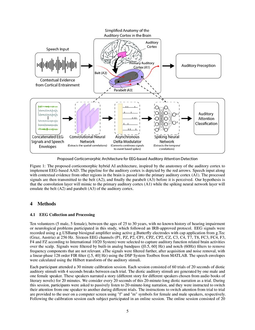 Corticomorphic Hybrid CNN-SNN Architecture for EEG-based Low-footprint Low-latency Auditory ...