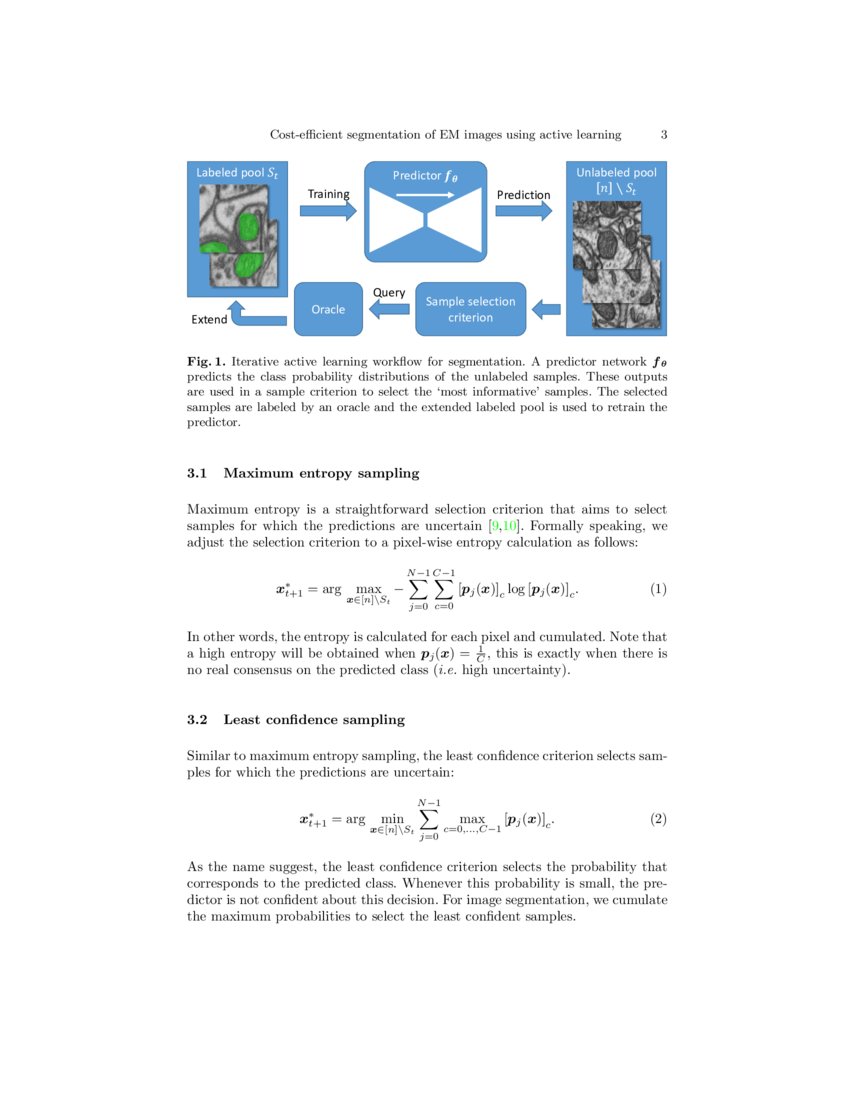 Cost-efficient segmentation of electron microscopy images using active learning | DeepAI