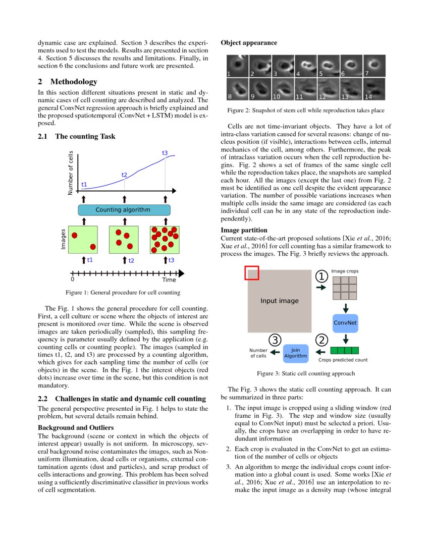 Counting Cells in Time-Lapse Microscopy using Deep Neural Networks | DeepAI