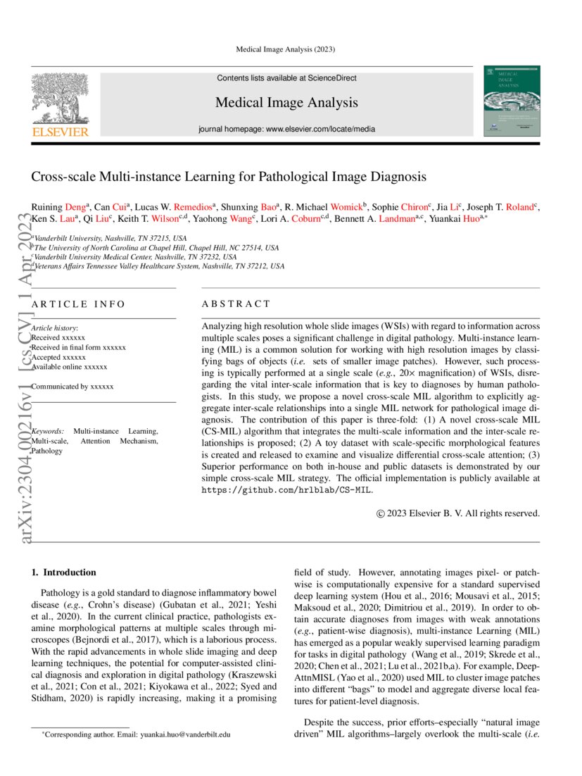 Cross Scale Multi Instance Learning For Pathological Image Diagnosis Deepai 9049