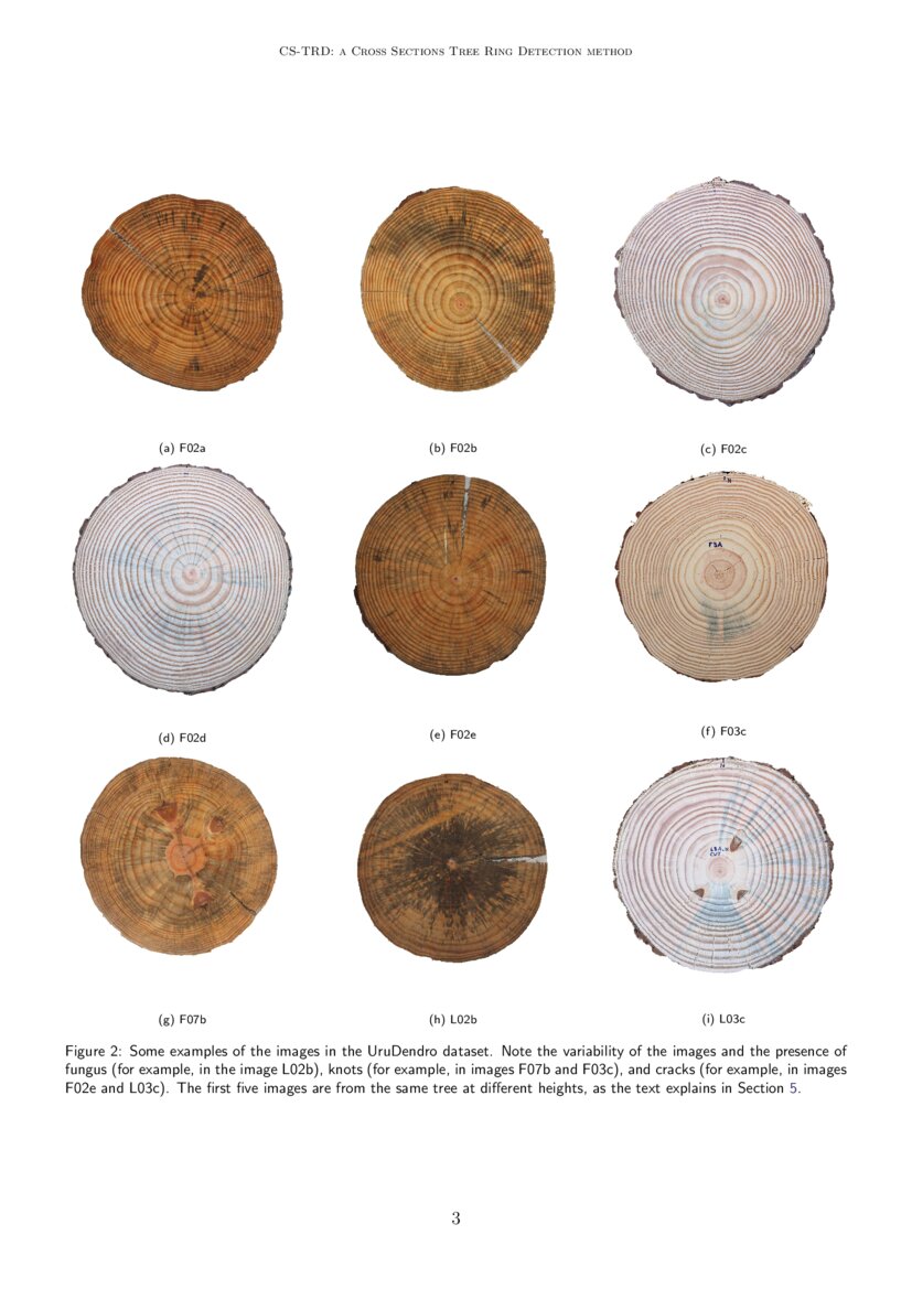 CS-TRD: a Cross Sections Tree Ring Detection method | DeepAI