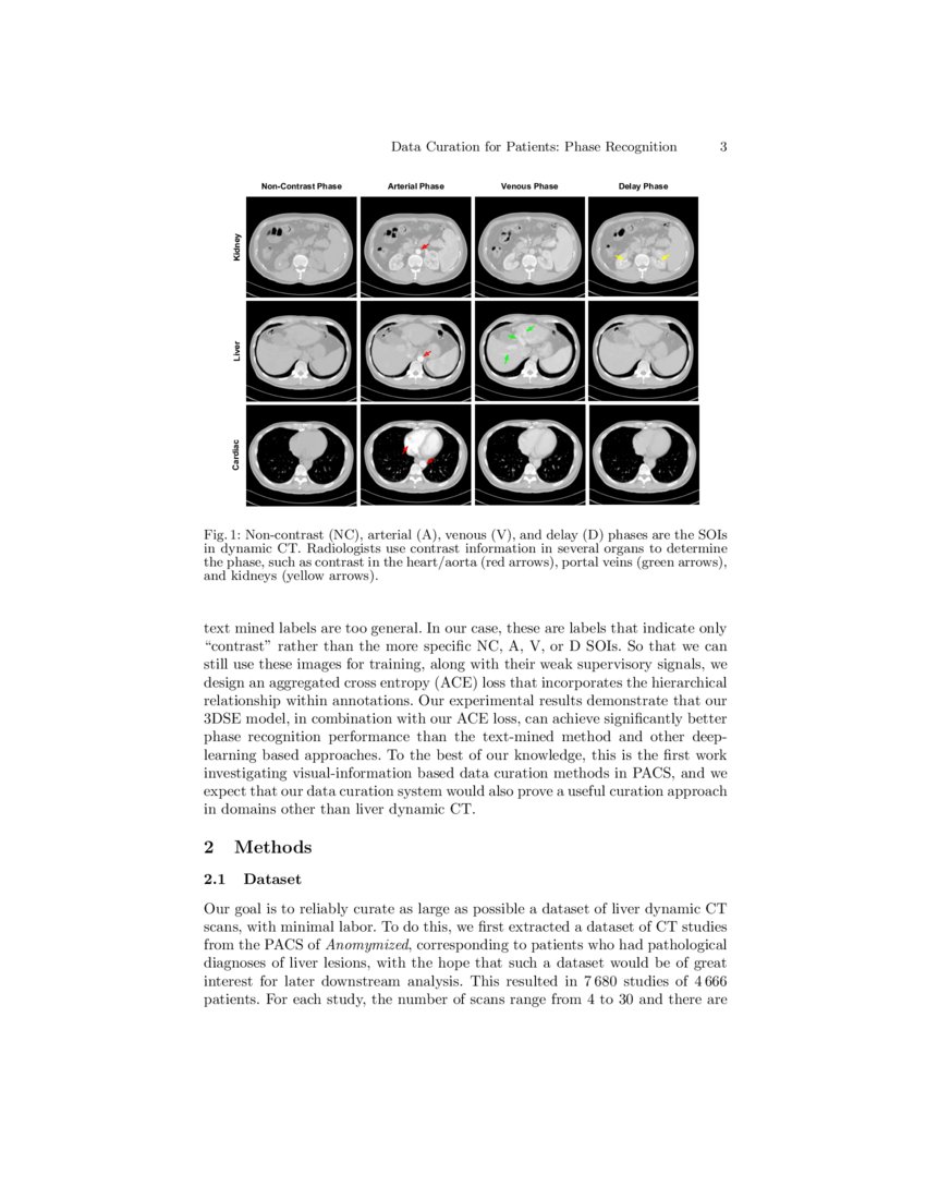 Ct Data Curation For Liver Patients Phase Recognition In Dynamic