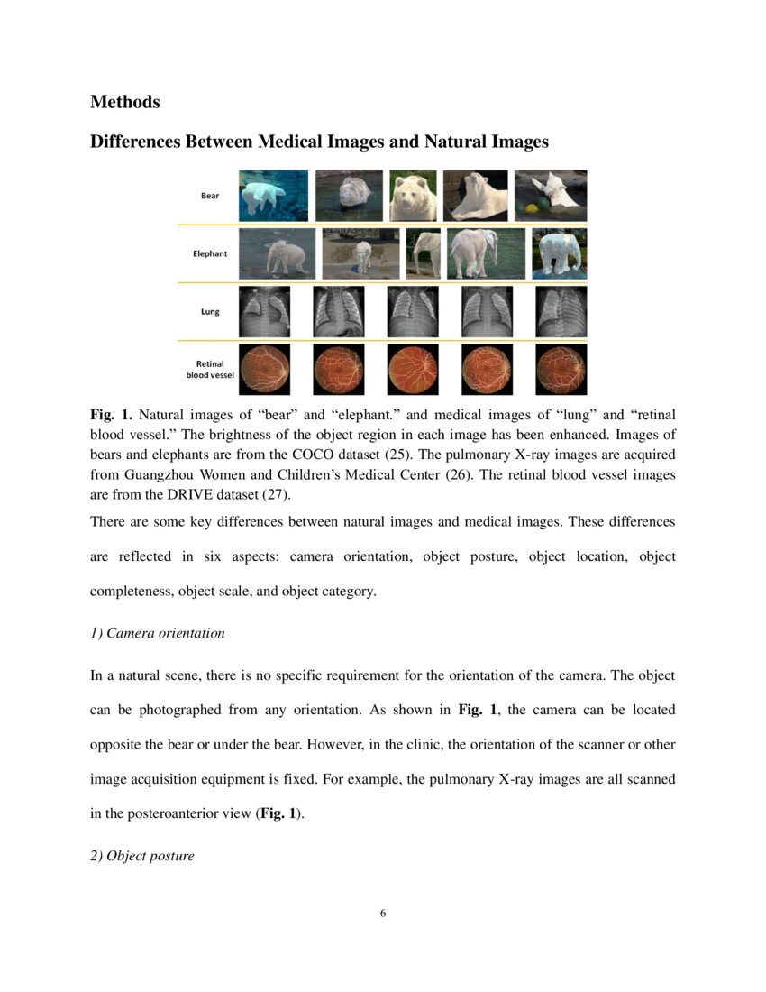 Cutting-Splicing data augmentation: A novel technology for medical ...