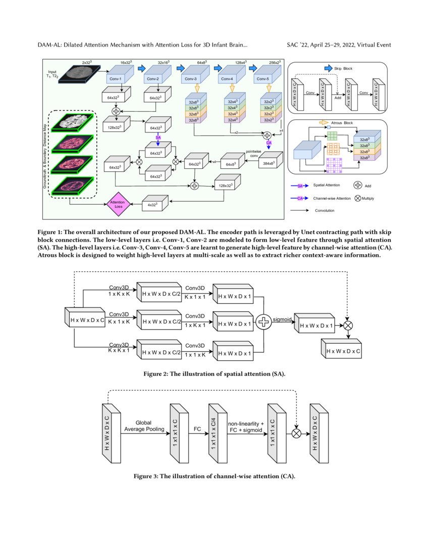 DAM-AL: Dilated Attention Mechanism with Attention Loss for 3D Infant ...