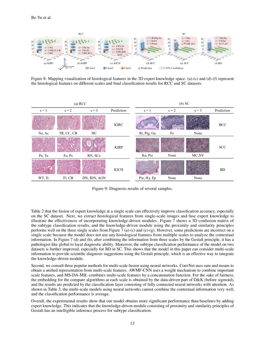 Data and Knowledge Co-driving for Cancer Subtype Classification on Multi-Scale Histopathological ...