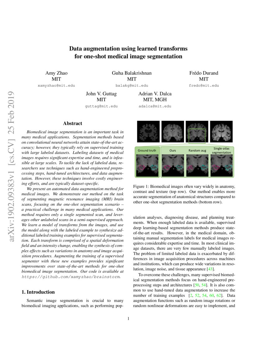 Data augmentation using learned transforms for one-shot medical image segmentation | DeepAI