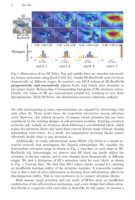 DCANet: Learning Connected Attentions for Convolutional Neural Networks | DeepAI