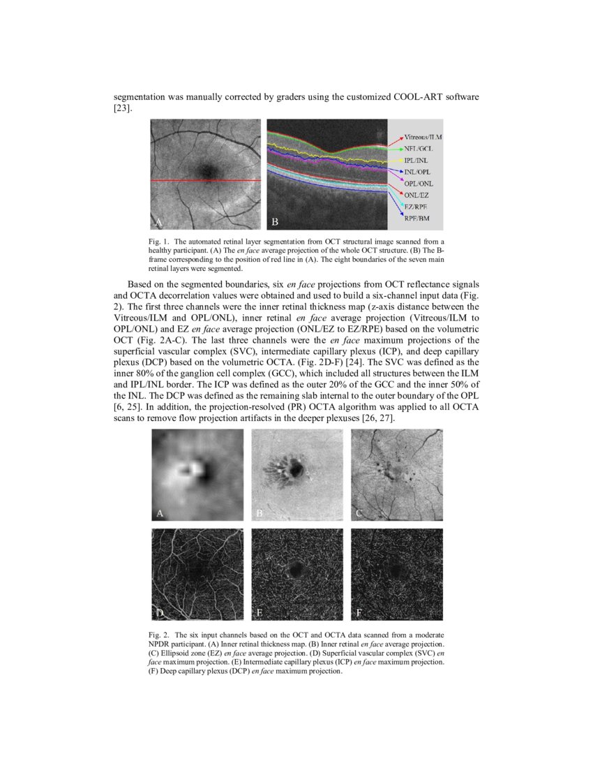 DcardNet: Diabetic Retinopathy Classification at Multiple Depths Based ...