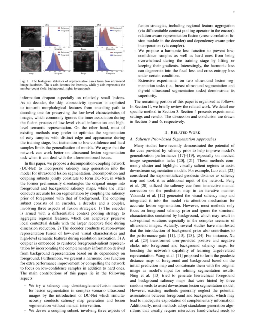 Decomposing And Coupling Saliency Map For Lesion Segmentation In