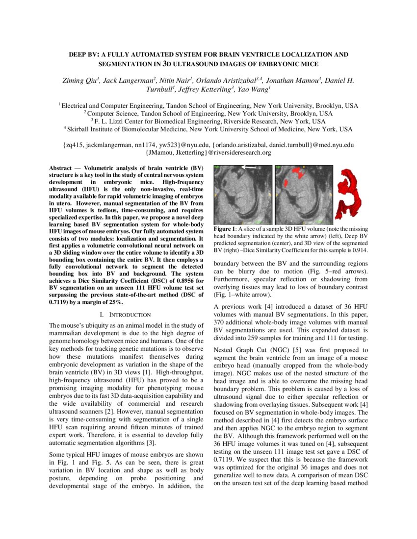 Deep BV: A Fully Automated System for Brain Ventricle Localization and ...