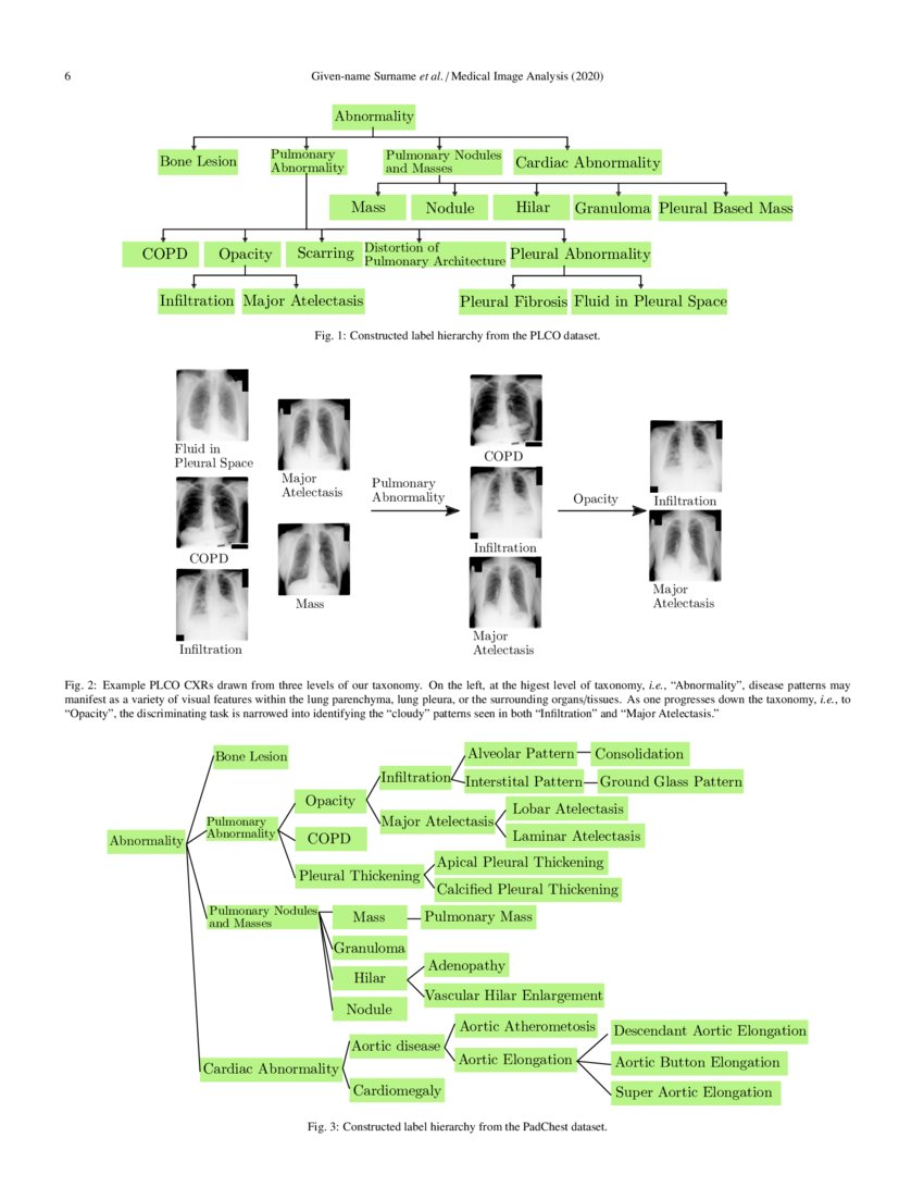 Deep Hiearchical Multi-Label Classification Applied to Chest X-Ray ...