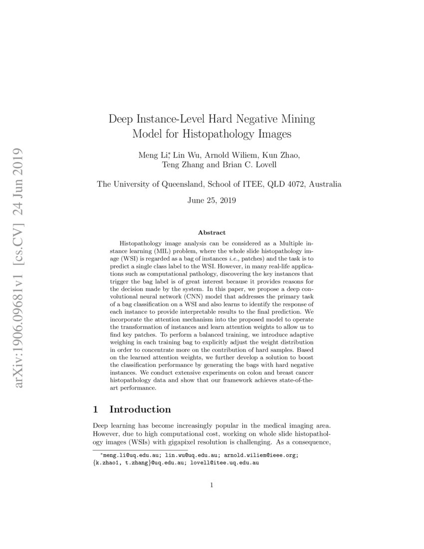 Deep Instance-Level Hard Negative Mining Model for Histopathology Images | DeepAI