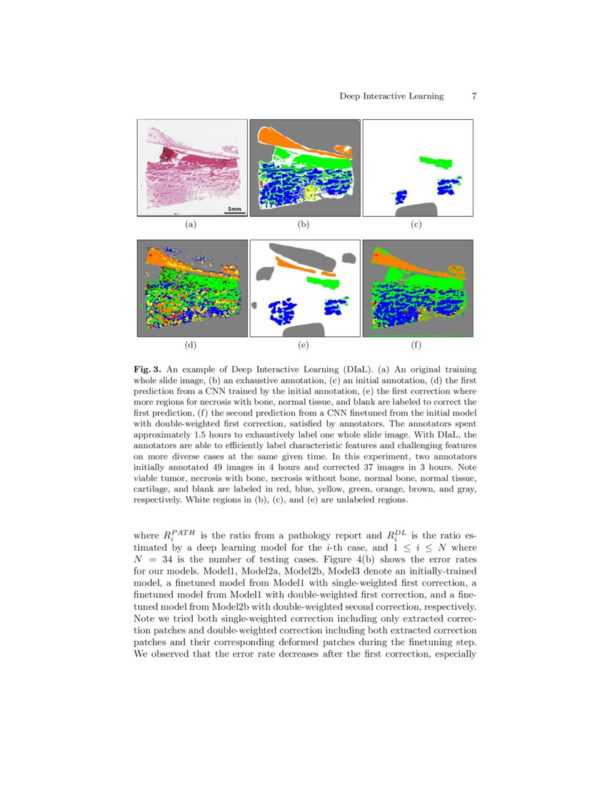 Deep Interactive Learning: An Efficient Labeling Approach for Deep Learning-Based Osteosarcoma ...