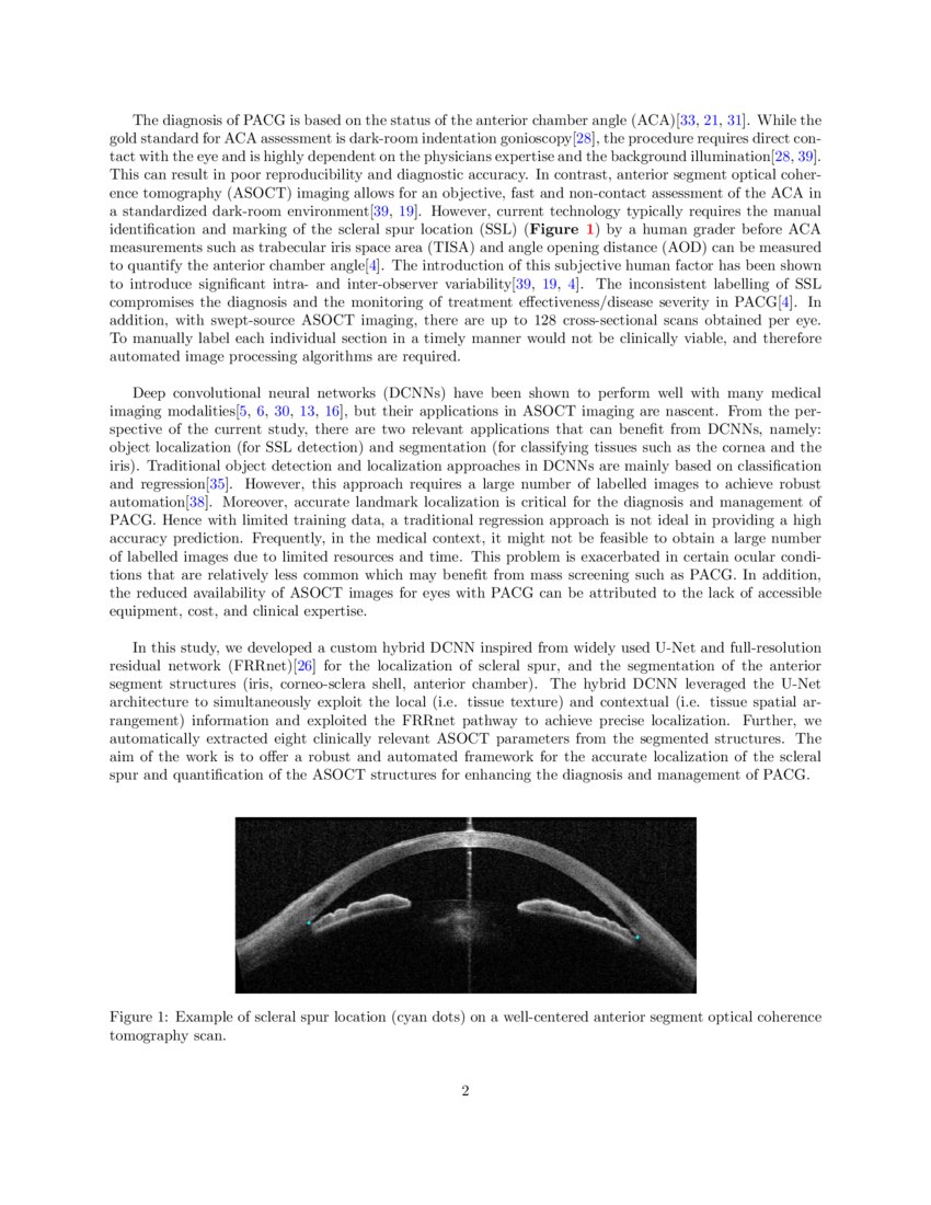 Deep Learning Algorithms To Isolate And Quantify The Structures Of The