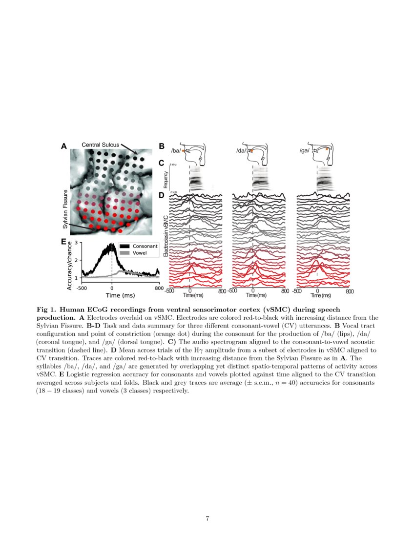 Deep Learning As A Tool For Neural Data Analysis Speech Classification
