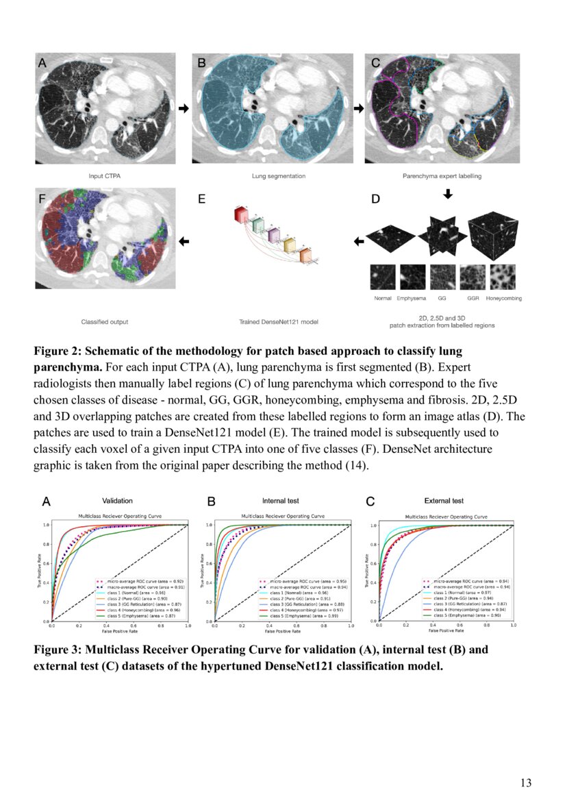 Deep Learning Automated Quantification Of Lung Disease In Pulmonary Hypertension On Ct Pulmonary
