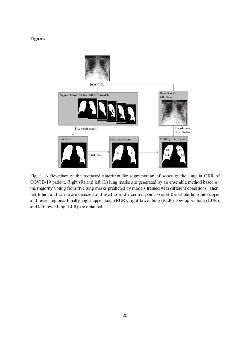 Deep Learning-based Four-region Lung Segmentation in Chest Radiography ...