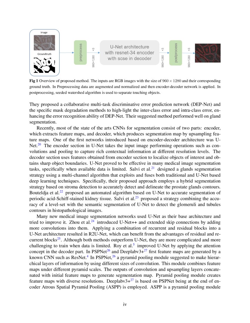 Deep Learning Based Method For Segmenting Epithelial Layer Of Tubules In Histopathological