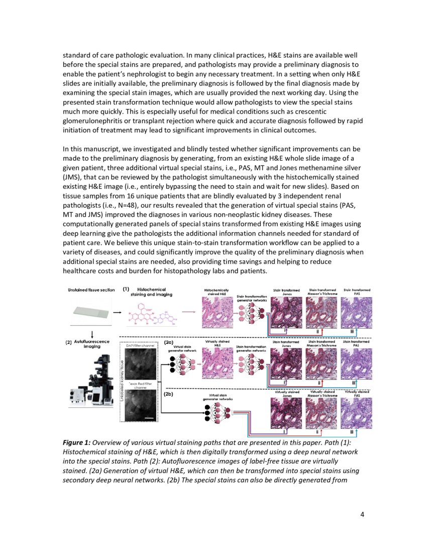 Deep learning-based transformation of the H E stain into special stains ...