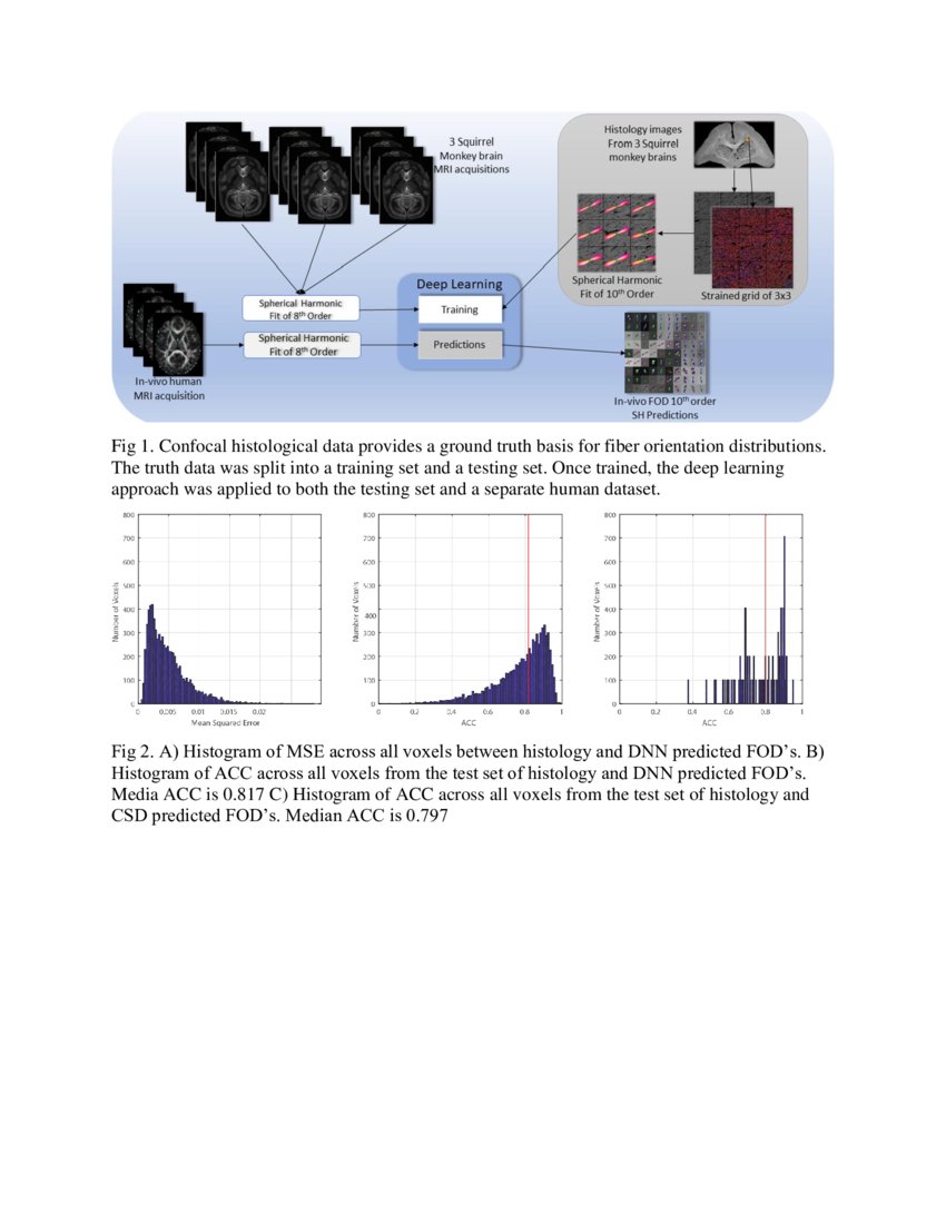 Deep Learning Captures More Accurate Diffusion Fiber Orientations ...
