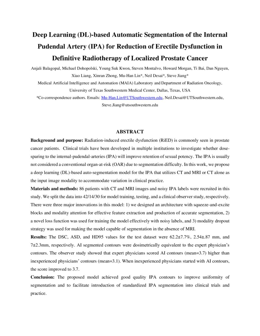 Deep Learning (DL)-based Automatic Segmentation of the Internal Pudendal Artery (IPA) for ...