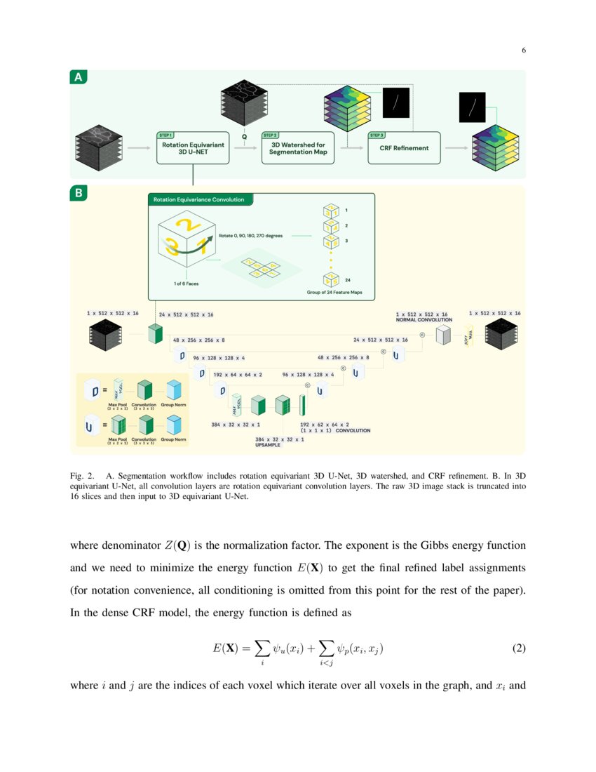Deep Learning Enabled Time-Lapse 3D Cell Analysis | DeepAI