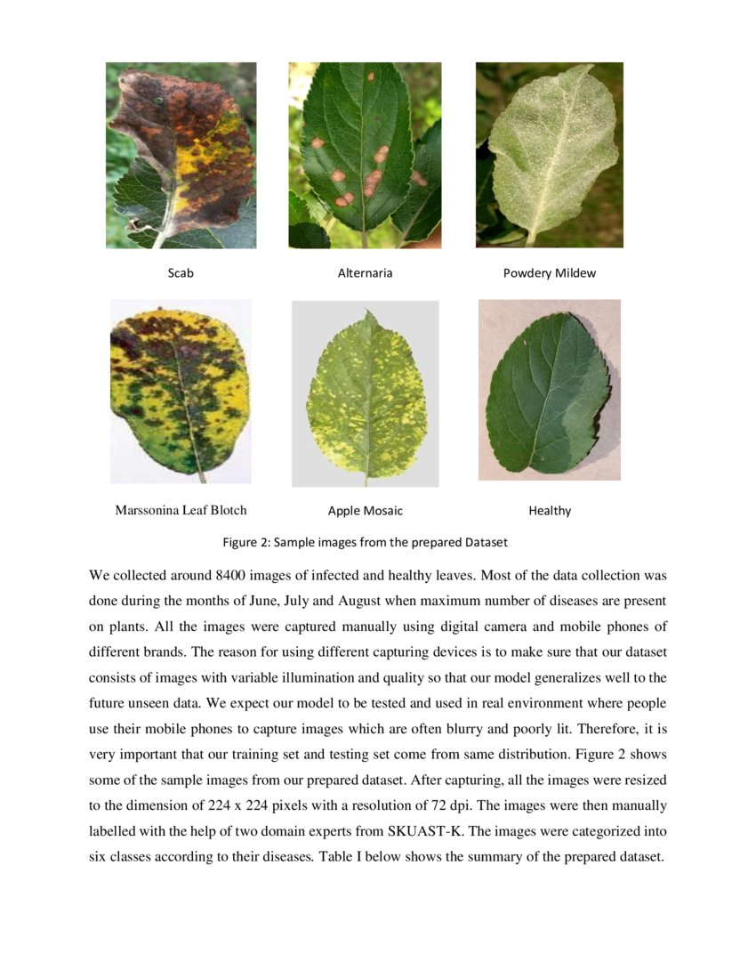 Deep Learning for Apple Diseases: Classification and Identification | DeepAI