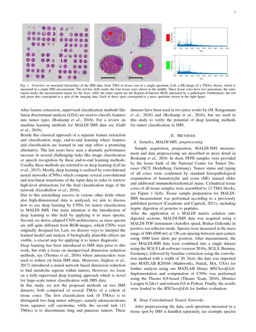 Deep Learning for Tumor Classification in Imaging Mass Spectrometry | DeepAI