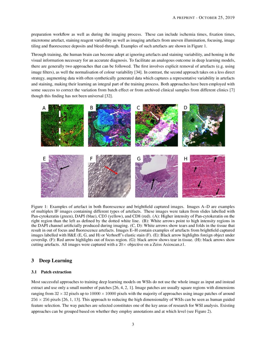 Deep Learning for Whole Slide Image Analysis: An Overview | DeepAI